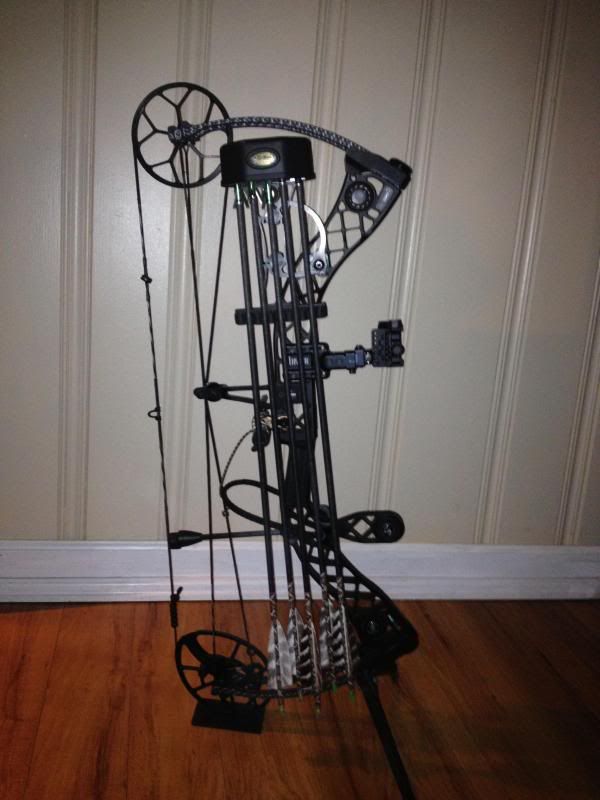 Blackout bows | Archery Talk Forum