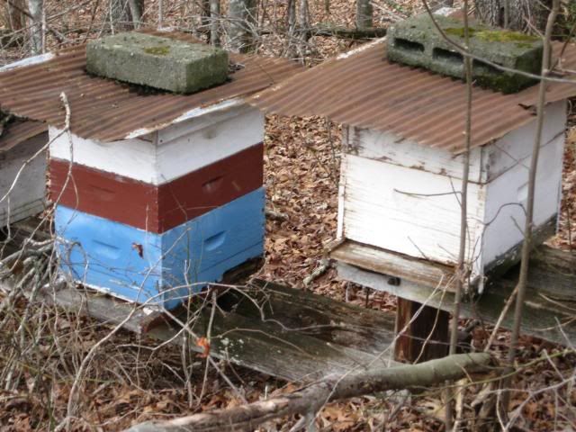 Picked up two hives today | Beesource Beekeeping Forums