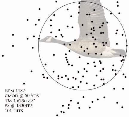 30" Full and Kent TM? | Shotgun Forum