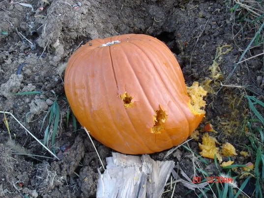 White Super 91 - .410 Hits the range! | Modern Muzzleloader Muzzleloading Forum