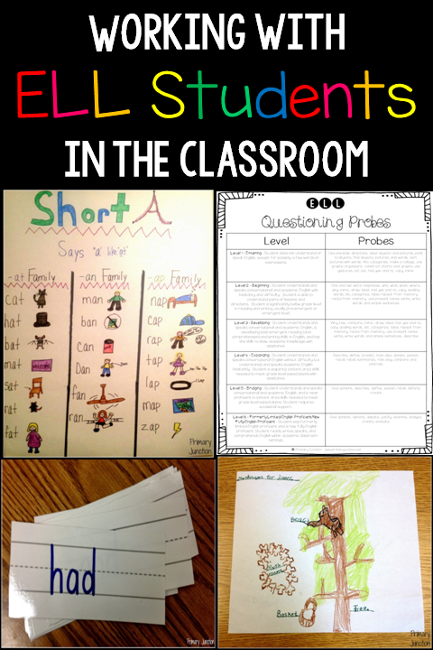Working With ELL Students in the Classroom | Primary Junction