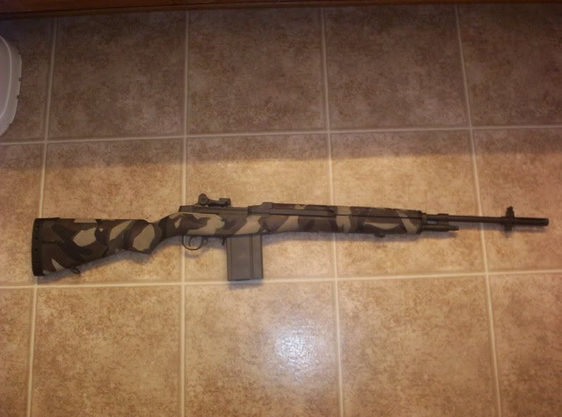 M1A vs PTR-91? - AR15.COM