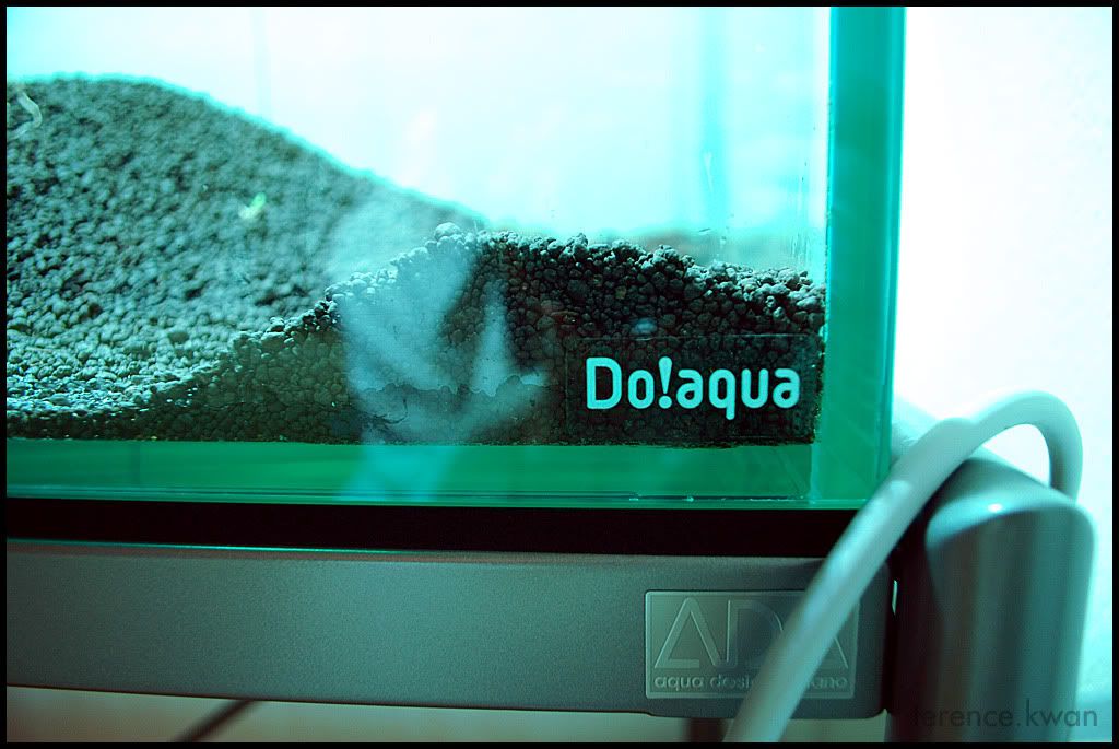 Jinsei888's Do!Aqua 90P + ADA Journal | Aquatic Plant Forum