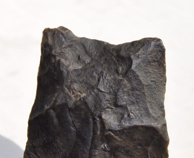 Unfluted Clovis? | TreasureNet.com