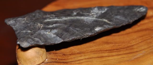 Unfluted Clovis? | TreasureNet.com