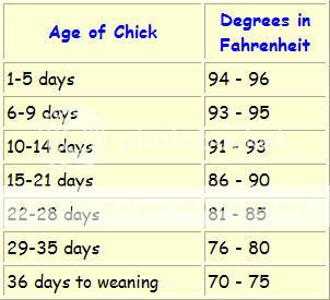 Temperature Chart | BackYard Chickens - Learn How to Raise Chickens