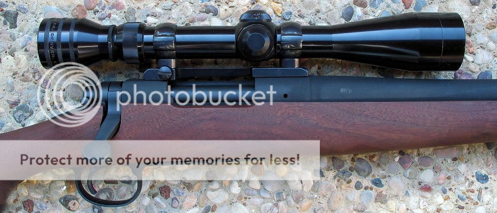 M40...Let's see yours | Gunboards Forums