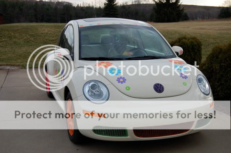 madisonmonster's New Beetle- Flower Power! | VW Beetle Forum