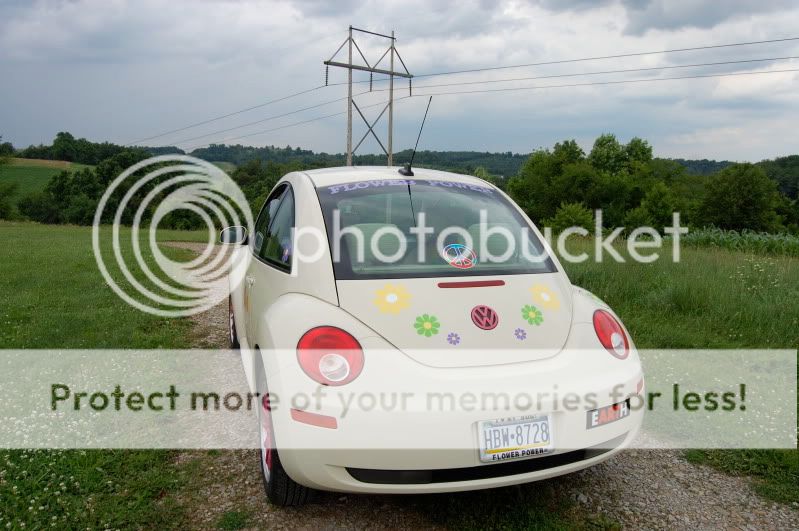madisonmonster's New Beetle- Flower Power! | VW Beetle Forum