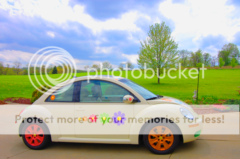 madisonmonster's New Beetle- Flower Power! | VW Beetle Forum