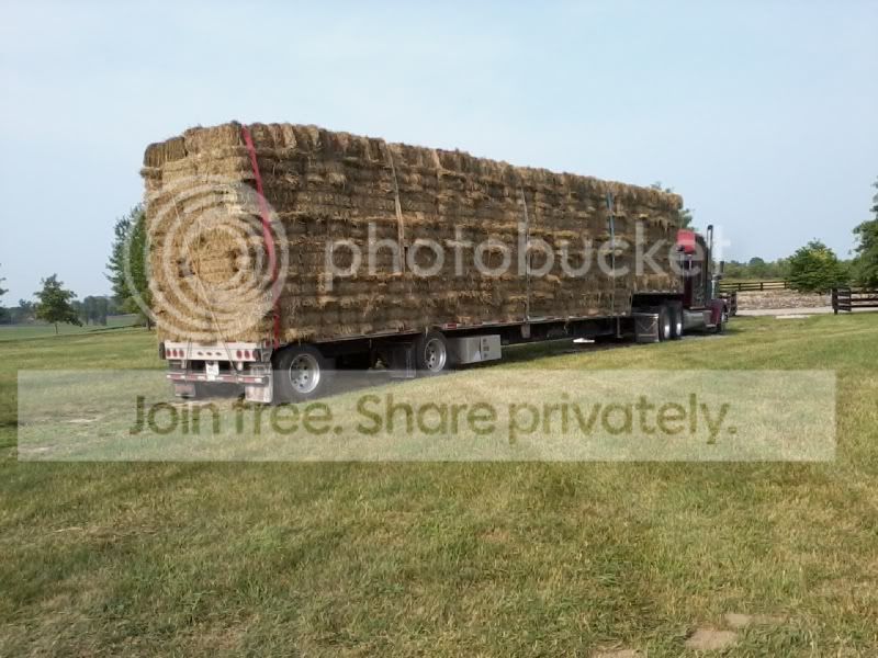 Best Way To Move Hay Bales at Alana Mcgovern blog
