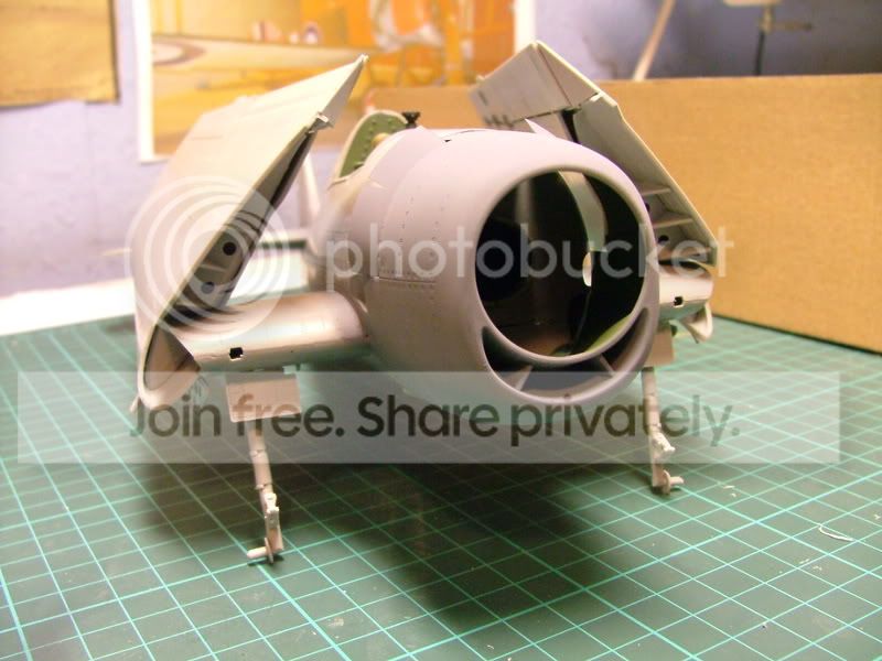 Cat outta Hell - Work in Progress - Aircraft - Britmodeller.com