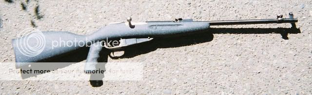 The New Huntmastersbbs!: custom stock painting