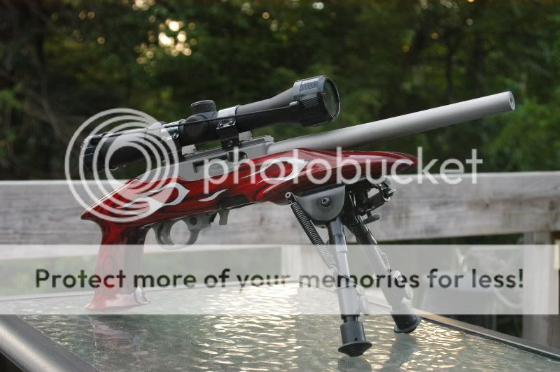 My reworked SS Charger stock! | Rimfire Central Firearm Forum