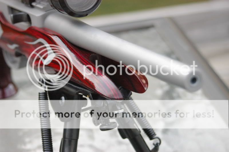 My reworked SS Charger stock! | Rimfire Central Firearm Forum