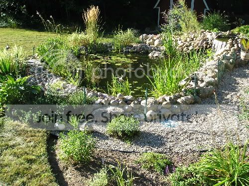 Adding to existing pond (ideas?)