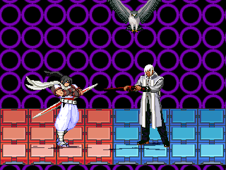 Shadowman.EXE, Shademan.EXE Stages~