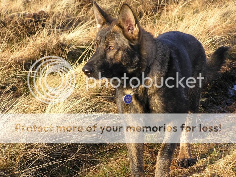 Working Line GSD convert