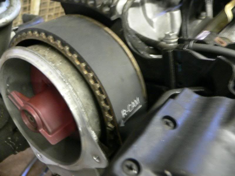 Lexus v8 conversions