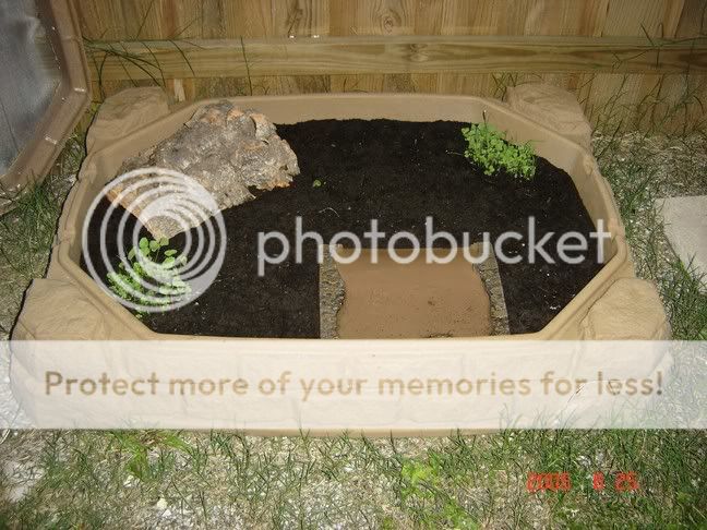 Outdoor Enclosures - Habitats and Equipment - Turtle Forum
