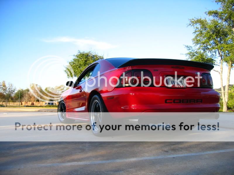 Sold my 97 Cobra, bought an SVTF! | Focus Fanatics Forum