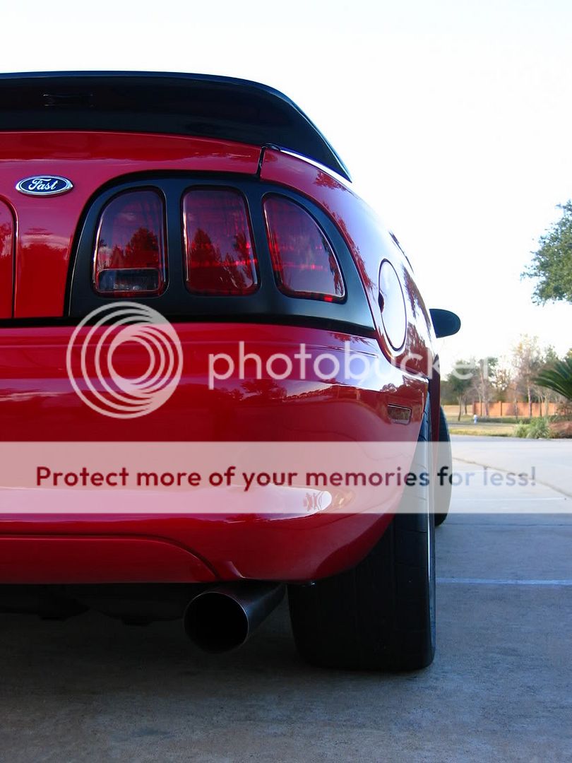 Sold my 97 Cobra, bought an SVTF! | Focus Fanatics Forum