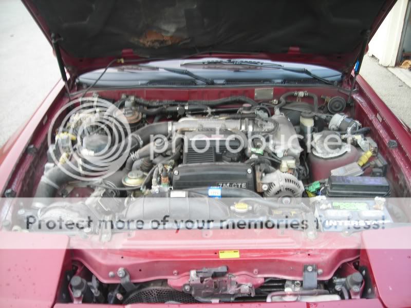 1987 Supra Turbo 5 Speed Targa Maroon/Maroon. Milwaukee WI | Toyota Forum