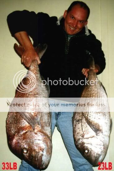 Snapper weight vs length - The Fishing Website : Discussion Forums - Page 1