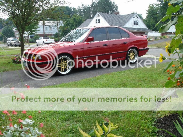 custom painted m parallels