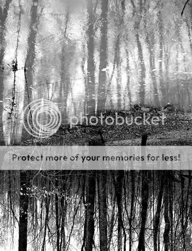 High contrast scenes - let's see yours (processing, shot, photos ...