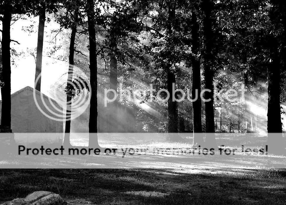 High contrast scenes - let's see yours (processing, shot, photos ...