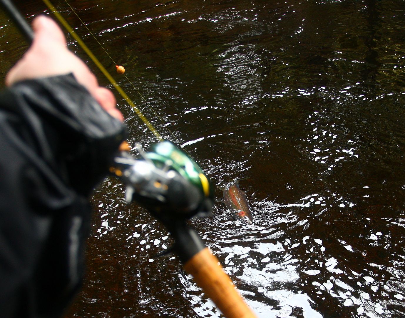 Show us your dead fish and hideously-painted light LR rifle ...