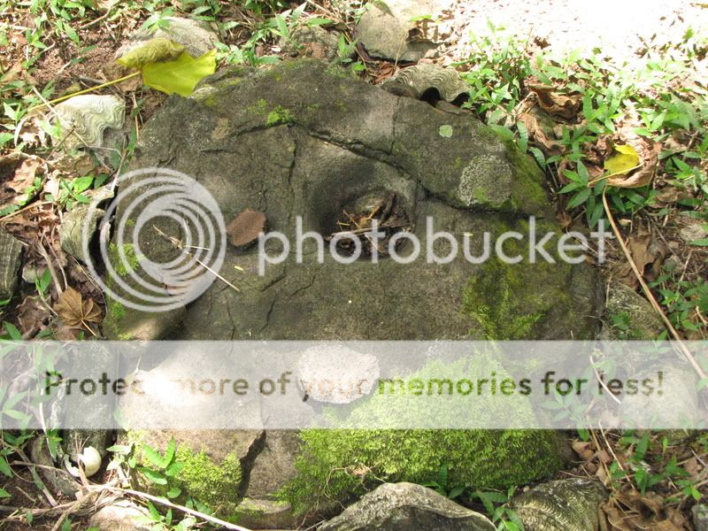 Insitu pics from guam | TreasureNet 🧭 The Original Treasure Hunting Website