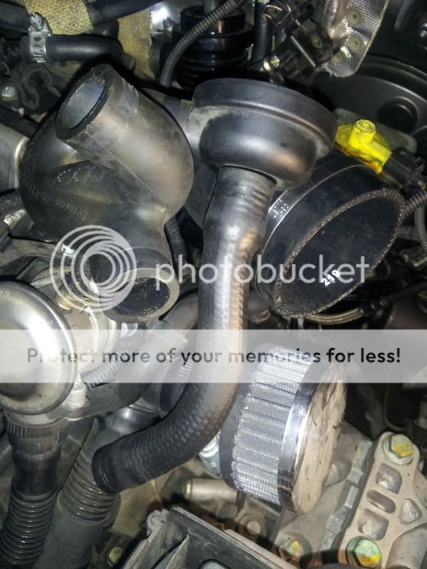 PRV (aka Pancake) Valve bottom hose??? - AudiWorld Forums