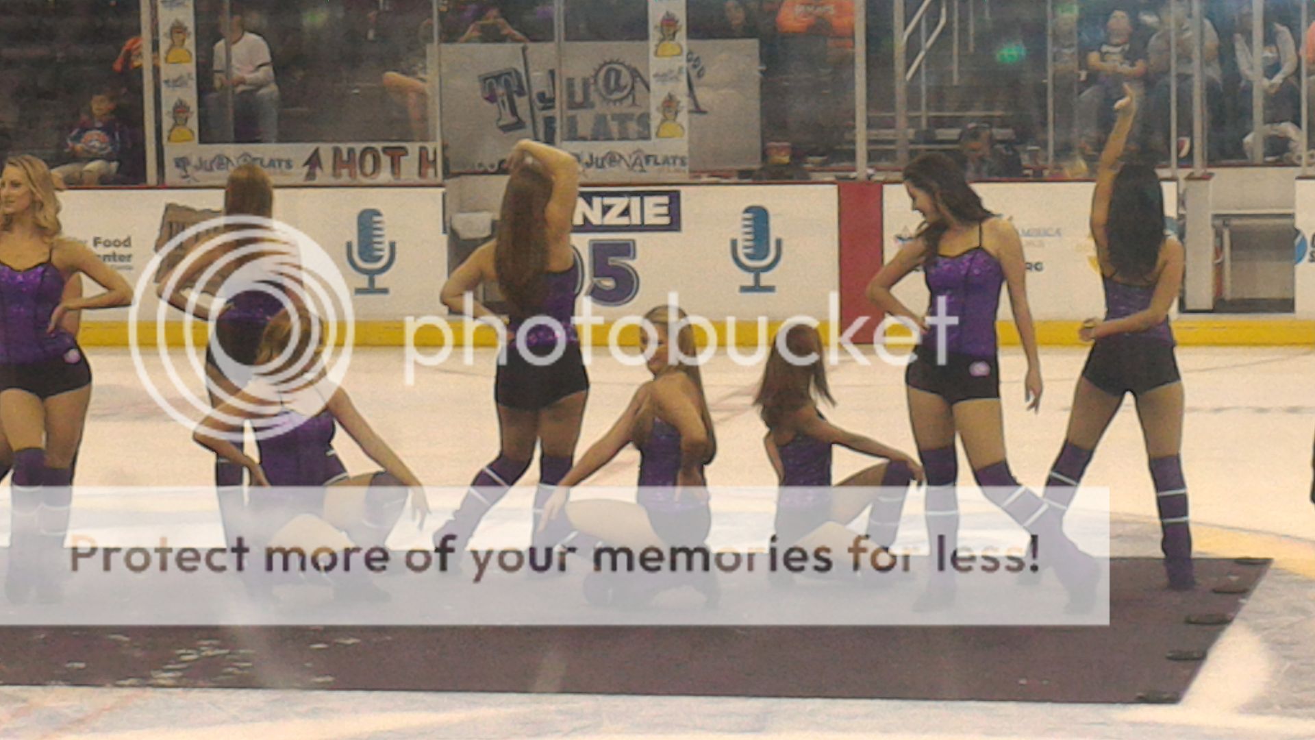 Minor league hockey cheerleaders are meaty....and I like it. - AR15.COM
