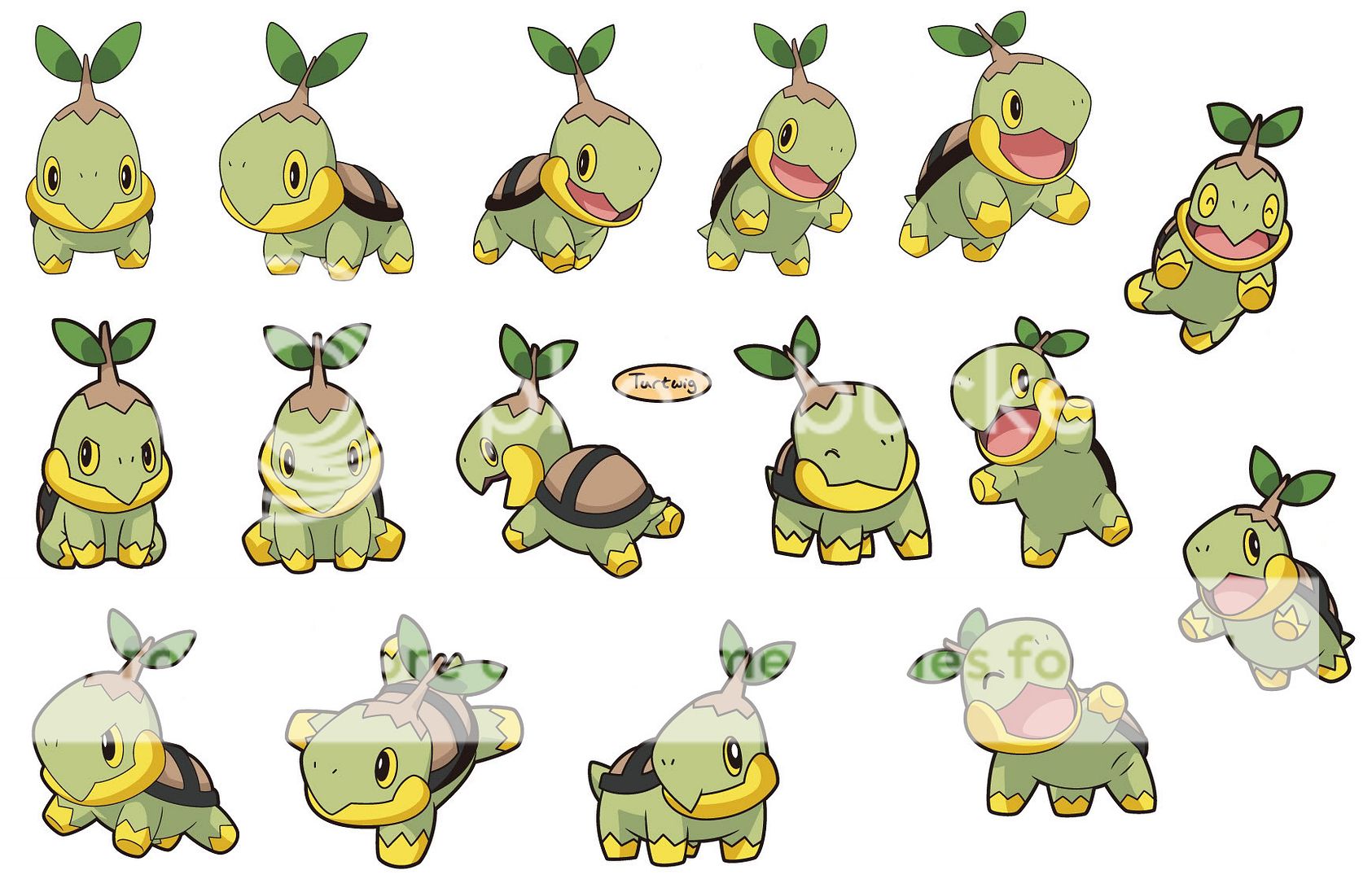 turtwig.jpg Photo by PDUTogepi | Photobucket