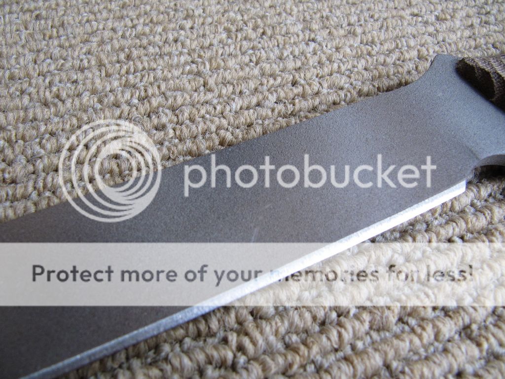 Busse Ruck, SAR-8 LE, HG55, SFNO LE, ASH-1 - relisted, reduced ...