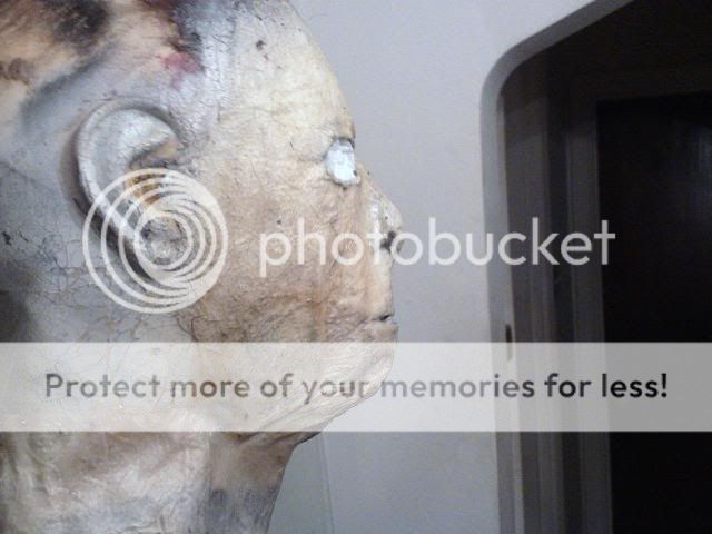 The Amazing Mummy Myers! (Extreme Dry rot) - General Discussion ...