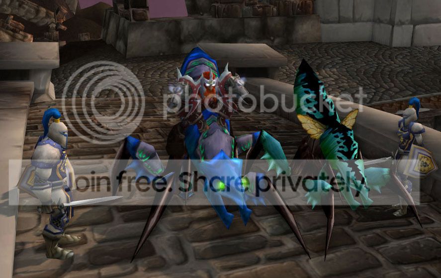 Sweet sweet victory, Bug Mount!! - WoW Petopia Community