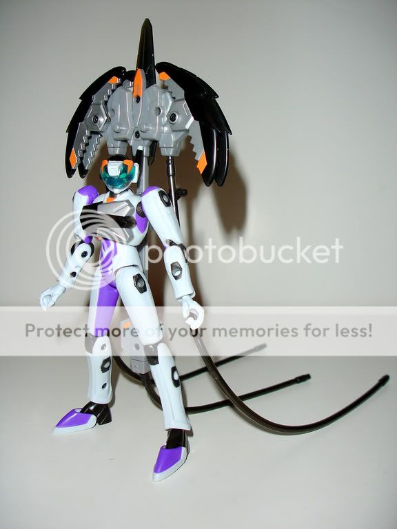 AmDriver? | TFW2005 - The 2005 Boards