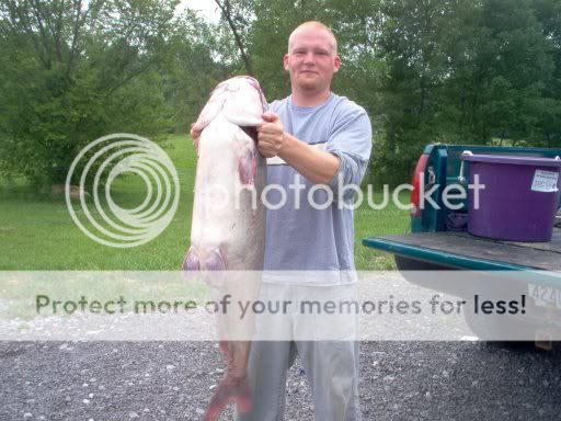 Woman catches 'monster' 88-pound catfish on Kentucky Lake, says it's a ...