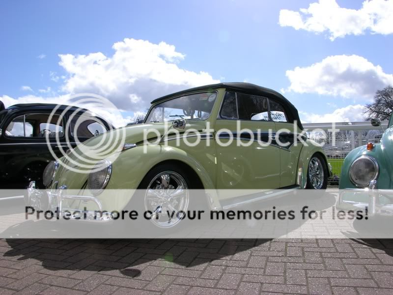 TheSamba.com :: Beetle - 1958-1967 - View topic - 61-64 convertible ...