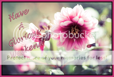 Potpourri | Best viewing of this site will be with Mozilla's FireFox at ...