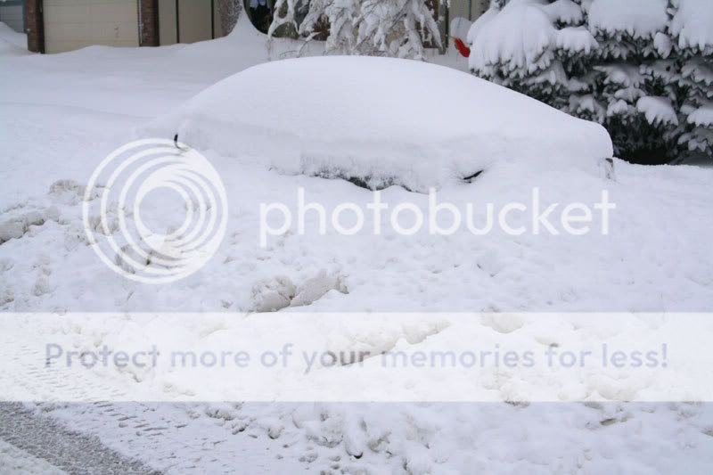 CO Meet & 98 Converted BG33P Teal Integra | Team Integra Forums