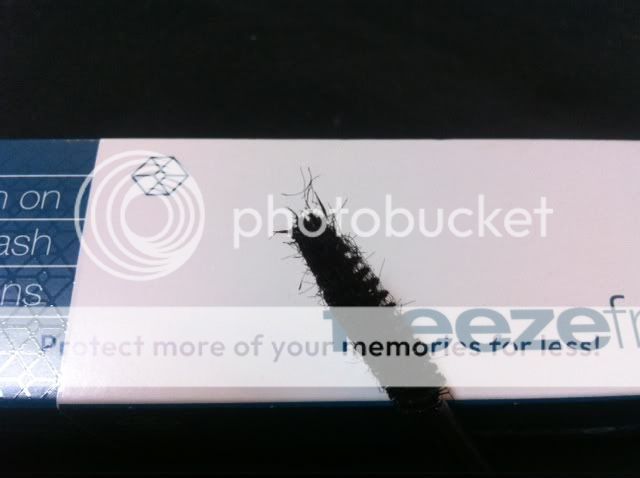 The Blushing Tulip: Review: Freeze Frame Instant Lash Extensions