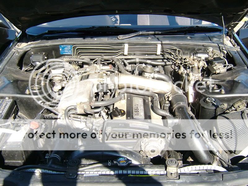 R32 engine bay pictures.. | Skyline Owners Forum