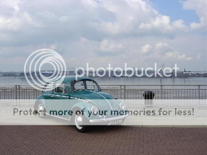 lets see your sea blue / java green 60's bugs=] | Volkszone Forum