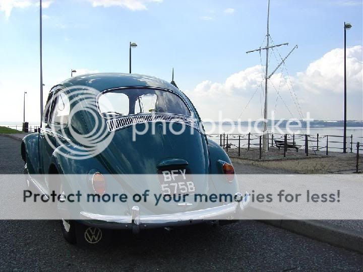 lets see your sea blue / java green 60's bugs=] | Volkszone Forum