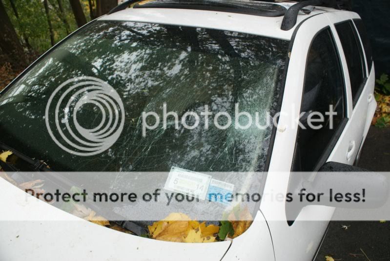 Sandy, I love you. | VW Vortex - Volkswagen Forum