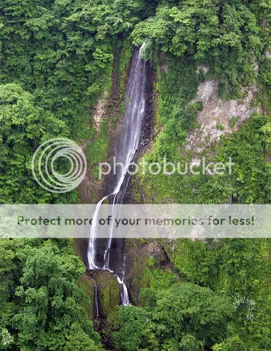 photos from Japan - wetland, nikko bg, Adachi museum garden ...